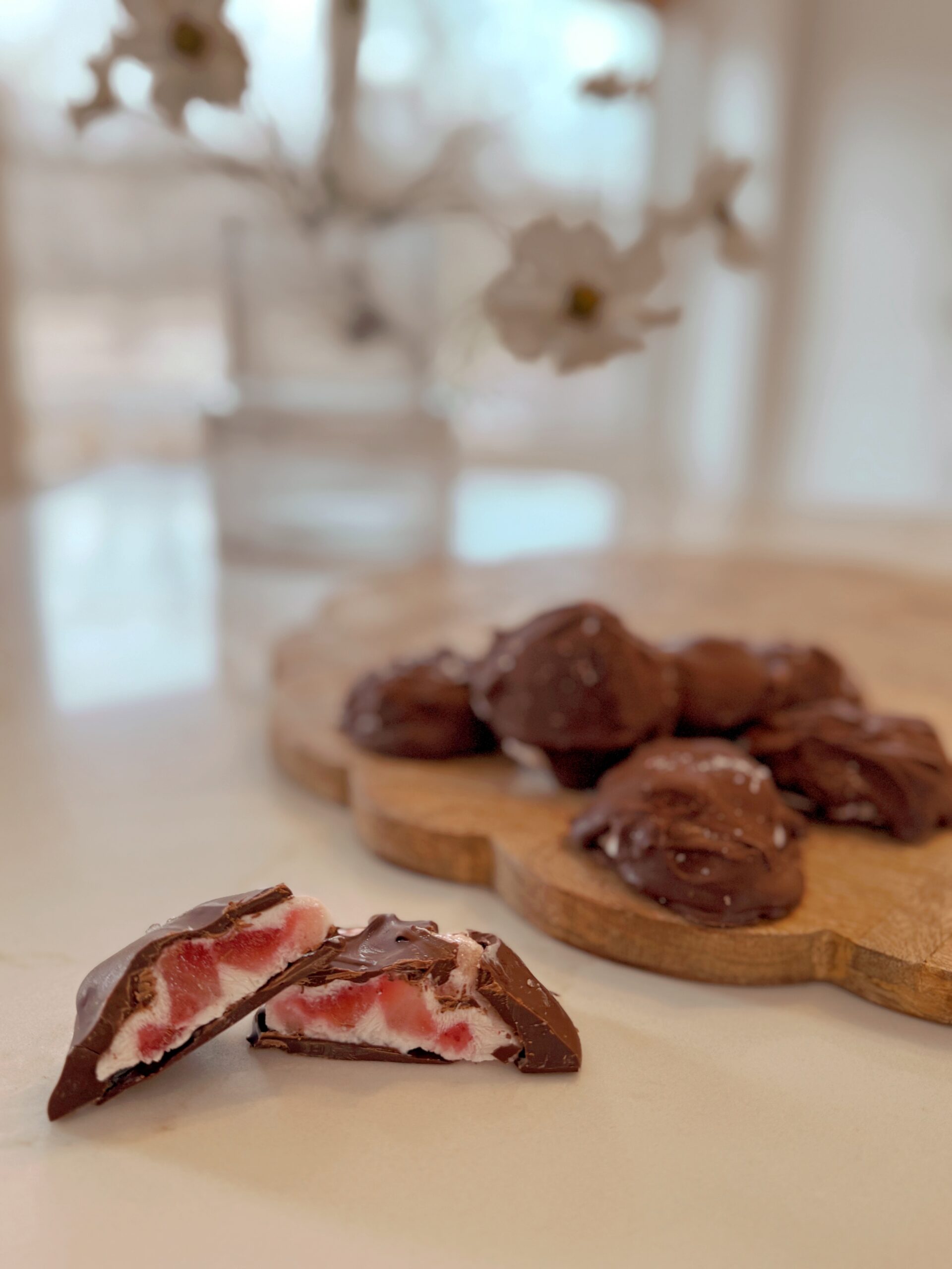 Chocolate Covered Strawberry Yogurt Bites - stir and gather